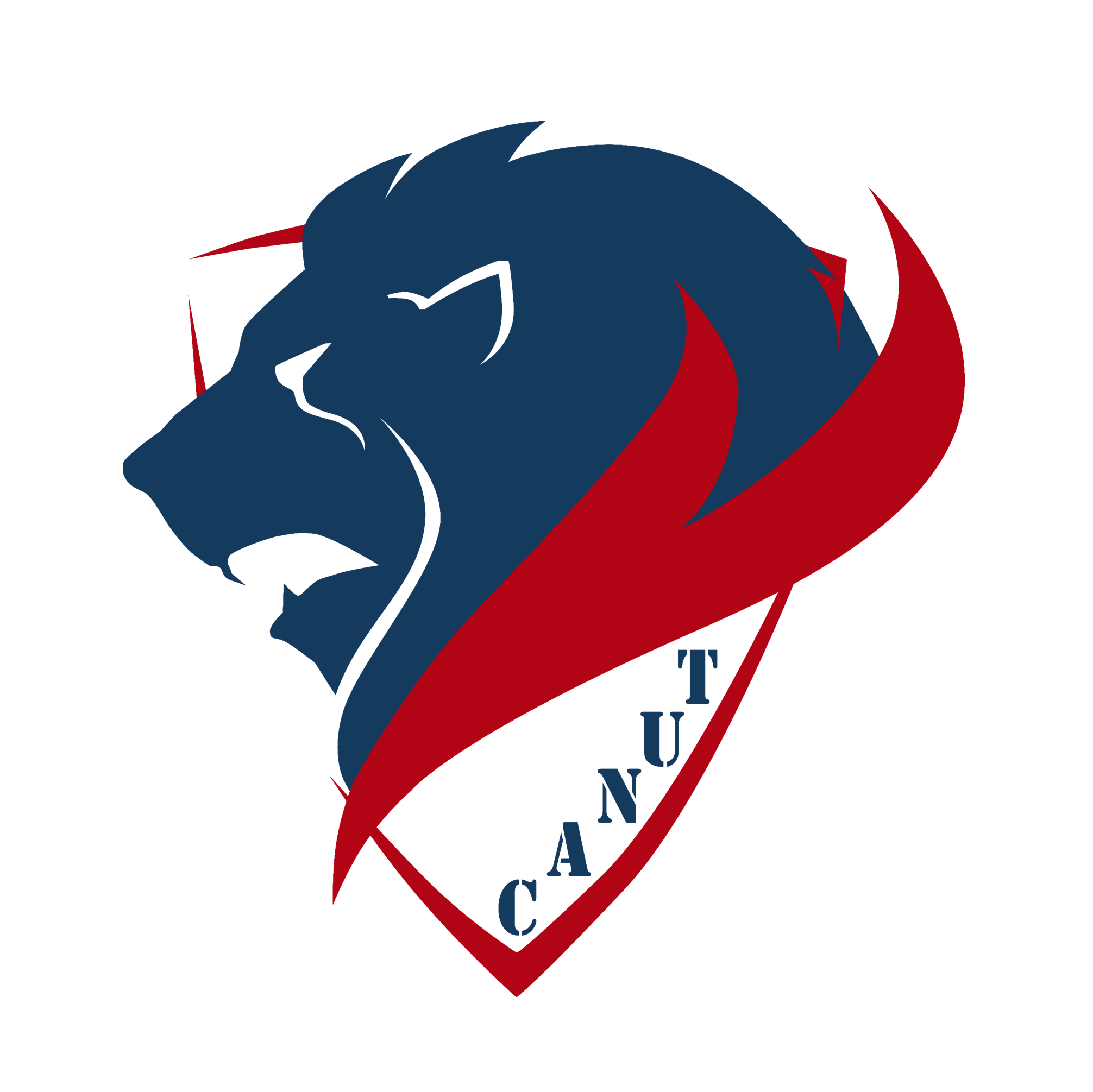 Touch Rugby Lyon - CanuTouch Lyon